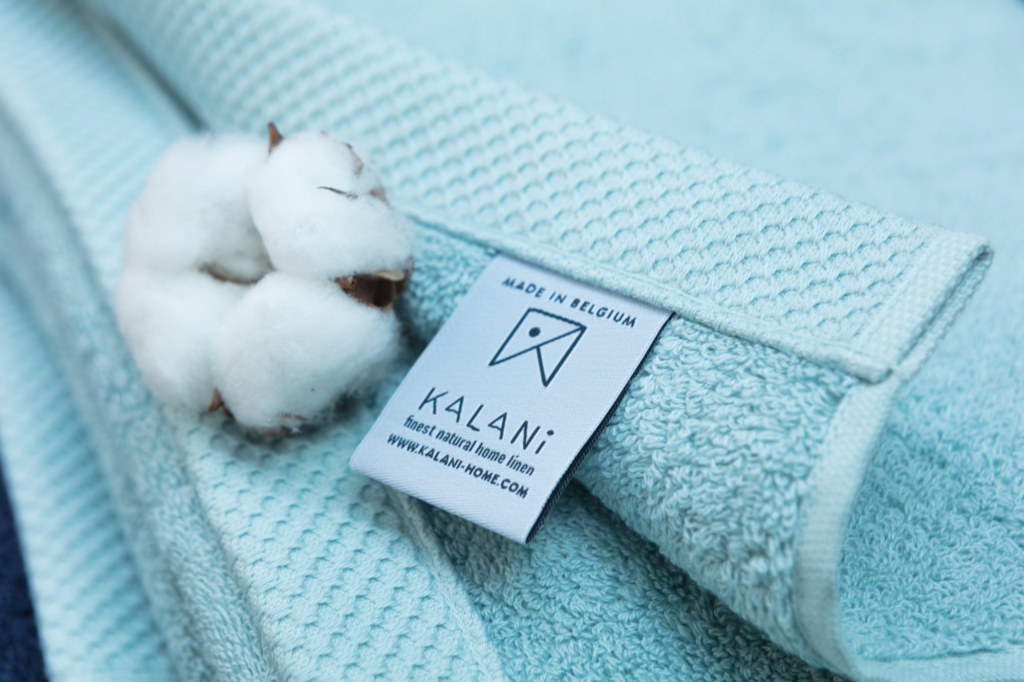 Eco-responsibility as a company: offering products that are ecological