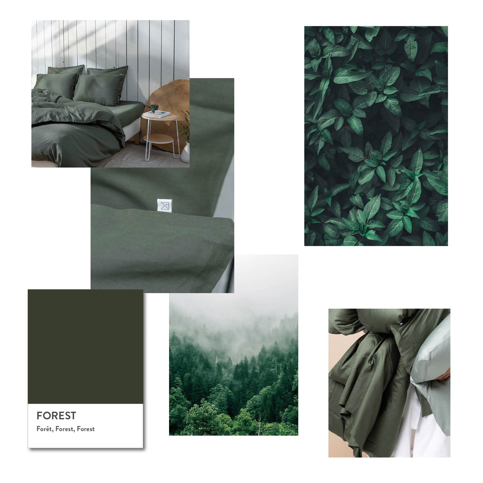 Des couleurs intemporelles et harmonieuses pour un style durable